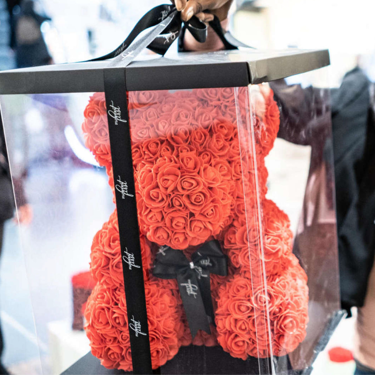 ROSE TEDDY – Flowers First