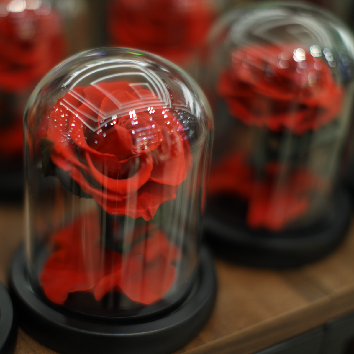 Small Red Infinity Rose in Glass Dome – Flowers First