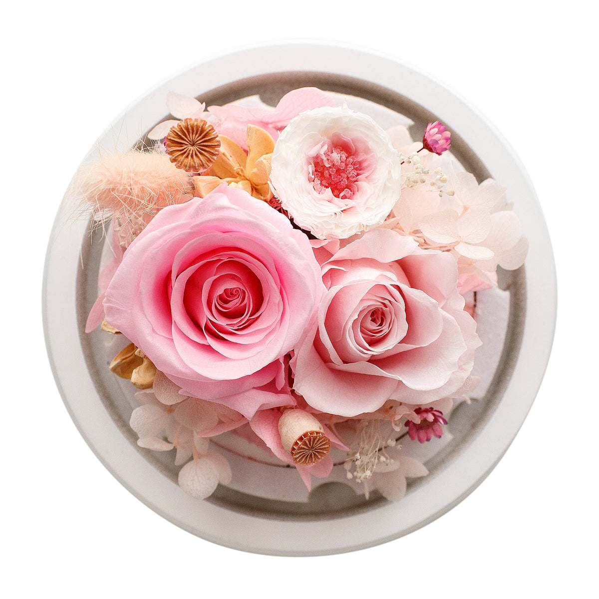 Light Pink Infinity Rose in Glass Dome – Flowers First